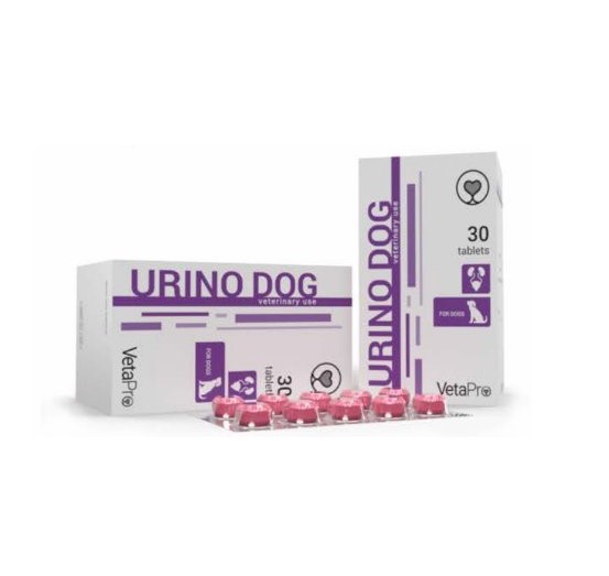 Močové cesty - Garig